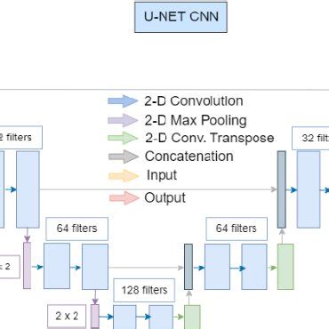 Workflow Diagram Showing Example Training Input The Network Download Scientific Diagram