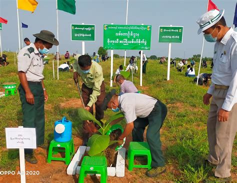 မင်းလှမြို့နယ်တွင် ၂၀၂၂ ခုနှစ် မိုးရာသီအကြို သစ်ပင်စိုက်ပျိုးပွဲကျင်းပ