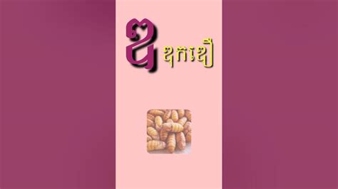 អក្សរ ឌ ព្យញ្ជនៈខ្មែរលេខរៀងទី១៣ Youtube