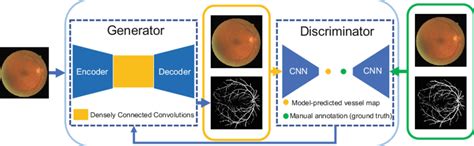 The Proposed Blu Gan Framework For Vessel Segmentation Download