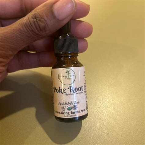 Bupleurum Powder Etsy