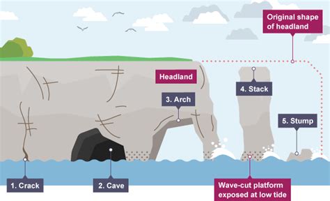 The Formation Of Caves Arches And Stacks Golearngeography Caves