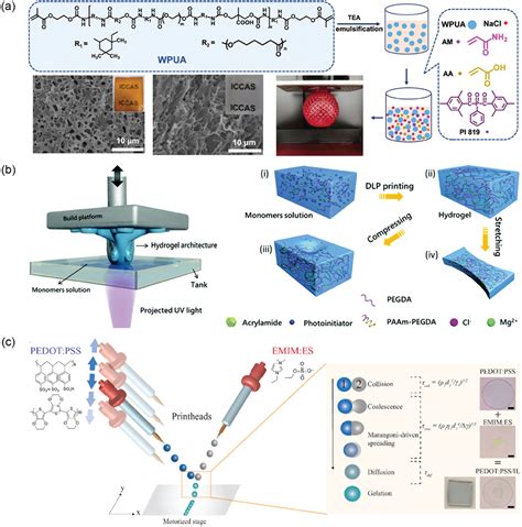 Seamless Integration Of Conducting Hydrogels In Daily Life From Preparation To Wearable