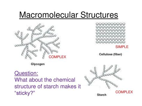 Warm Up 8 26 On The Piece Of White Paper From The Back Predict The Products Of The Following