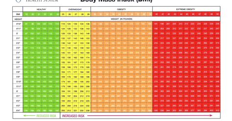 Bmi Chart For Seniors My Xxx Hot Girl