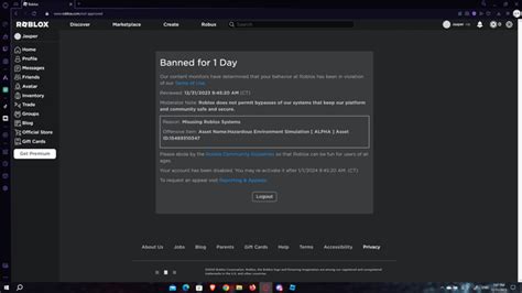 Banned For Misusing Roblox Systems More Info In Comments Rrobloxbans
