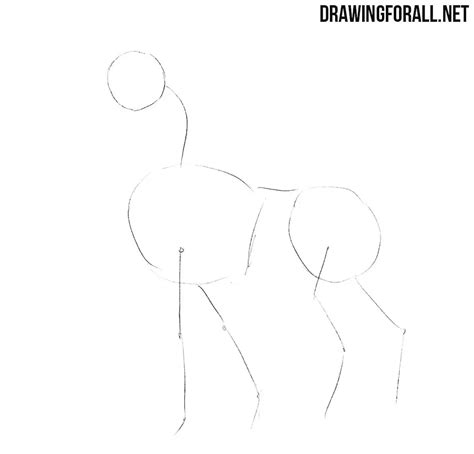How To Draw A Unicorn Body Step By Step