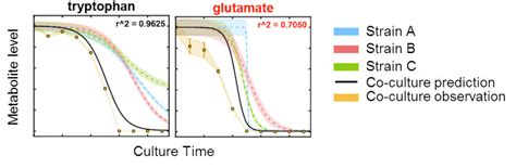 Predicting Metabolic Properties Using Dynamic Substrate Preference Enigma