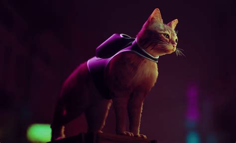 Stray sur PS5 annonce une nouvelle histoire et des détails de gameplay