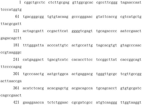 一种光合细菌的培养方法及其应用与流程