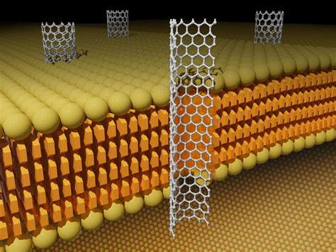 Novel 2d Biomimetic Membranes For Molecular Separations Research
