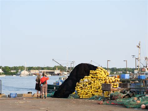 Resources Seafood And Gender Equality