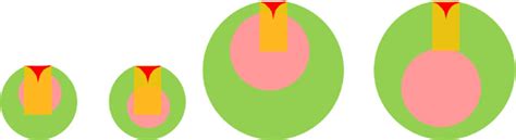 Ptfe Pmma Nanoparticles Of Different Sizes Orientated Differently To Download Scientific