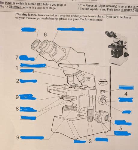 Micro Lab Midterm Exam Flashcards Quizlet
