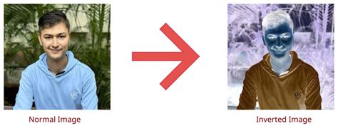 How To Invert An Image With Python