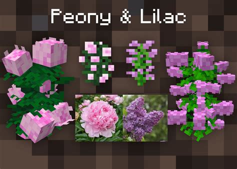Kit S Cutie Flower Armor Minecraft Texture Pack Artofit