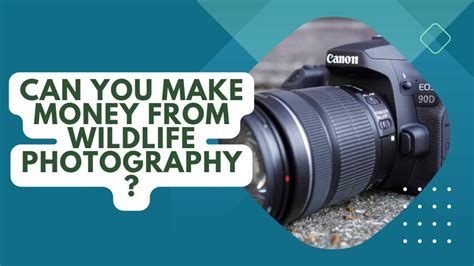 Can You Make Money From Wildlife Photography A Financial Guide