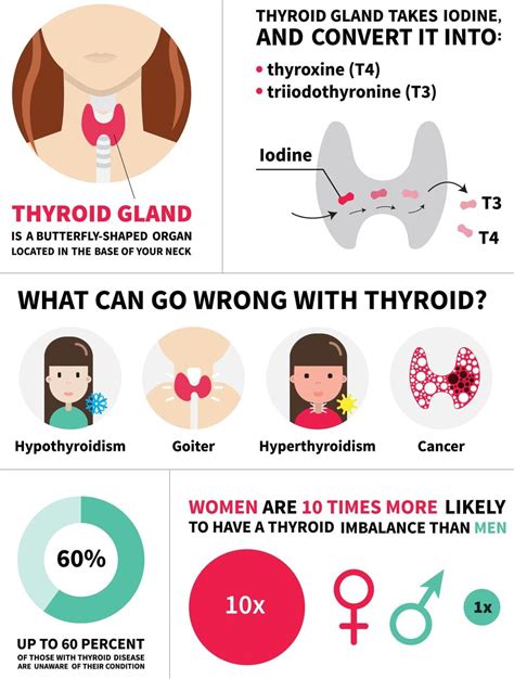 Complete Thyroid Test Roigard Naturopathic