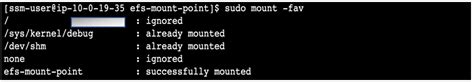 Integrate Amazon Rds Custom For Oracle With Amazon Efs Aws Database Blog