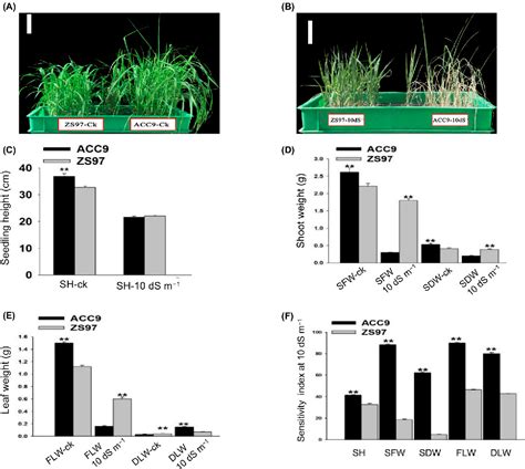 Figure 2 From Identification Of Qtls For Salt Tolerance At The Germination And Seedling Stages