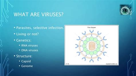 Viruses Origin And Evolution PPTX Biological Sciences Science