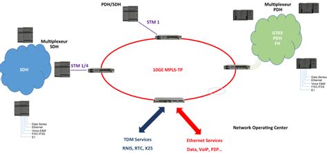 Compétences Plateforme Mspp