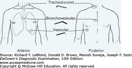 Lung Auscultation Physical Therapy Reviewer