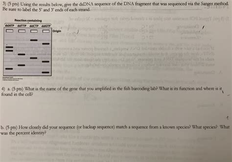 Solved 3 5 Pts Using The Results Below Give The Dsdna