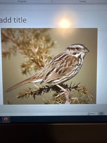 Id Test 4 Flashcards Quizlet Id Test 4 Flashcards Quizlet