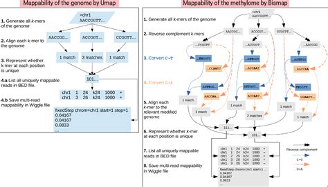 Github Keun Hongumap Local A Customized Run Script For Using Umap On A Local Workstation
