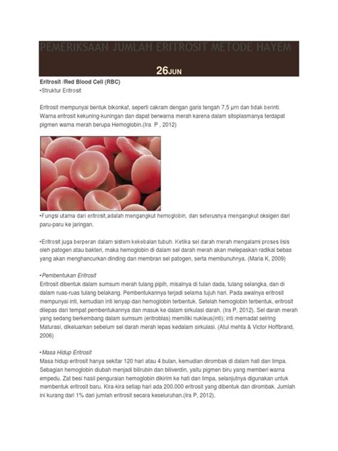 Pemeriksaan Jumlah Eritrosit Metode Pdf