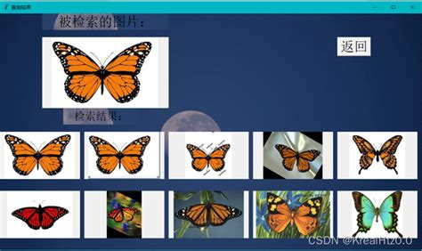 多方法的基于内容的图像检索系统（cbir）搭建 基于python krealhtz csdn博客