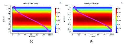 Simulations Of The Particle Trajectories For 200 Nm At The Height Of