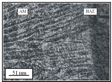 The Microstructure Of The Transition Zone Between The Weld Hard Faced Download Scientific