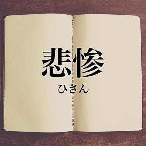 「悲惨」とは？意味や使い方！例文や解釈 Meaning Book