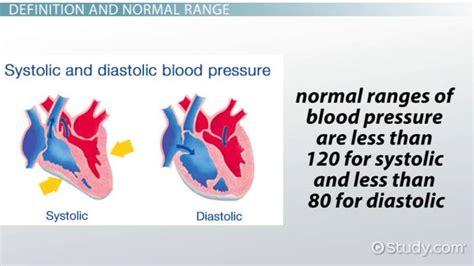 Pulse Pressure Definition Normal Range Lesson Study Com