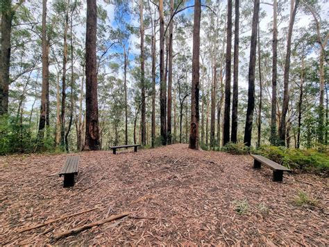 Boolah Dillah Track Destinations Journey