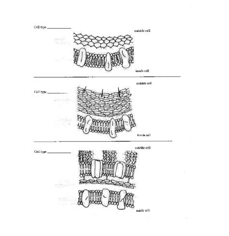Solved 1 Look At The Diagrams On The Next Page Of
