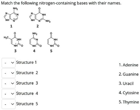 Solved Match The Following Nitrogen Containing Bases With Their Names