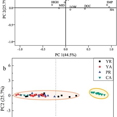 Pac Plots Of Removal Rate A Pc1 Vs Pc2 Loading Plot B Pc1 Vs