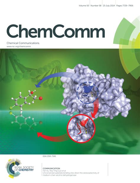 Pdf Unconserved Substrate Binding Sites Direct The Stereoselectivity