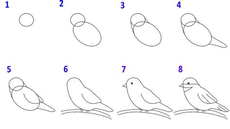 Як намалювати пташку
