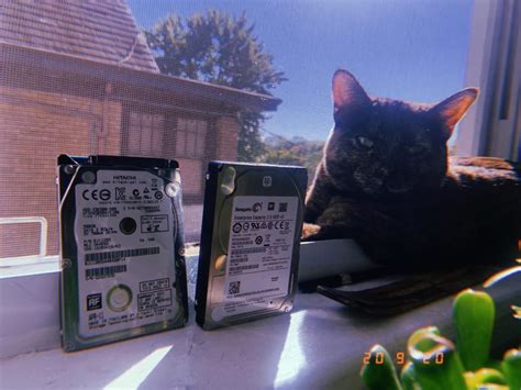 Crucial P Nvme Ssd Review Storagereview