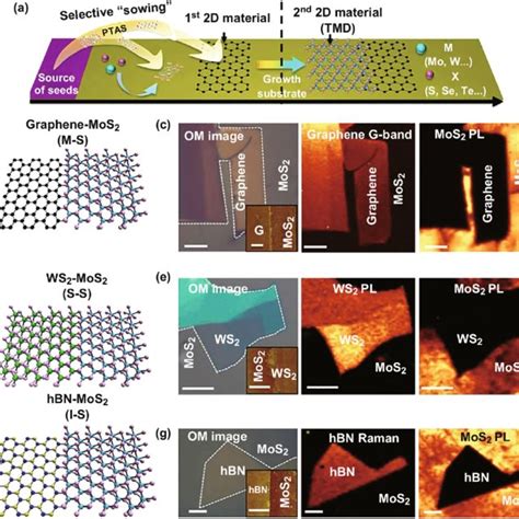 Pdf Recent Advances In 2d Lateral Heterostructures