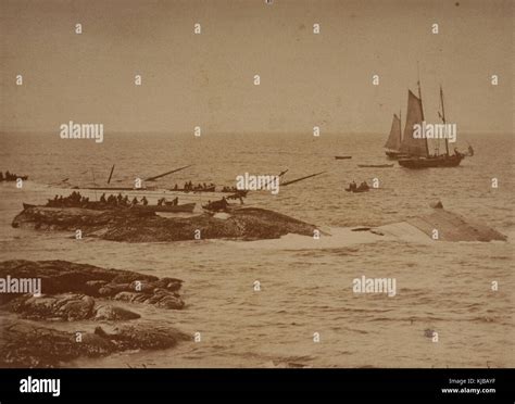 Ss Atlantic Wreck Divers Recovering Bodies And Cargo Seen From Meaghers Island Now Mars