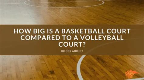 How Big Is A Volleyball Court Compared To A Basketball Court Hoops