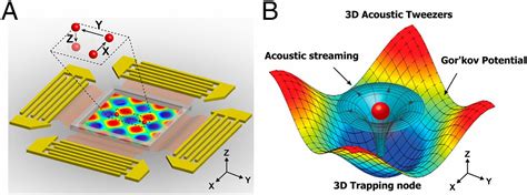 Three Dimensional Manipulation Of Single Cells Using Surface Acoustic Waves Pnas