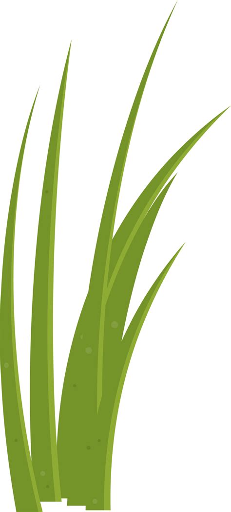 Cartoon Grass Leaves Clip Art 21612233 Png