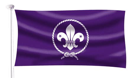 Scout Association Flag Hampshire Flag Company