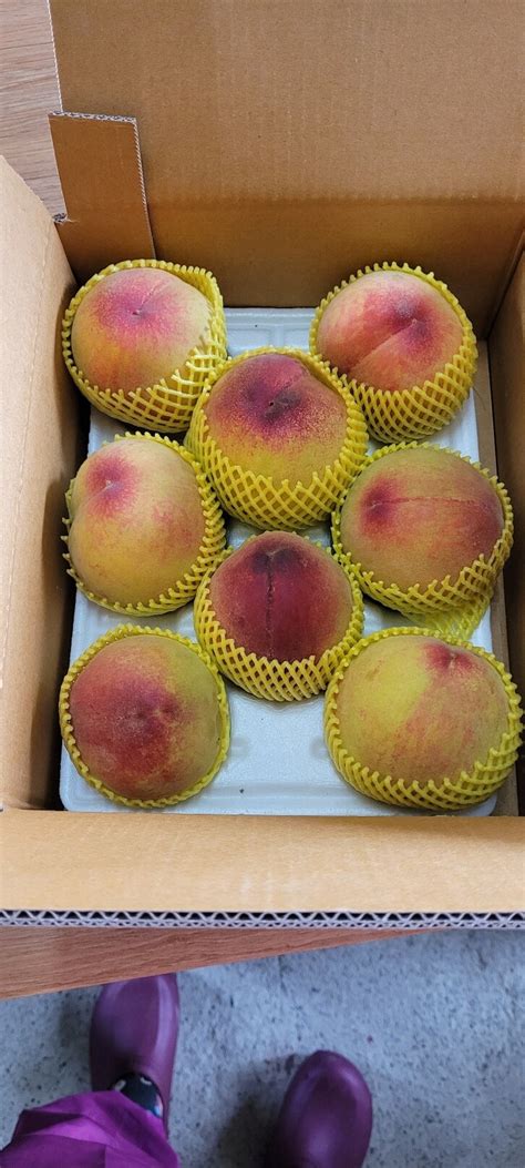 미황복숭아 황도 2kg